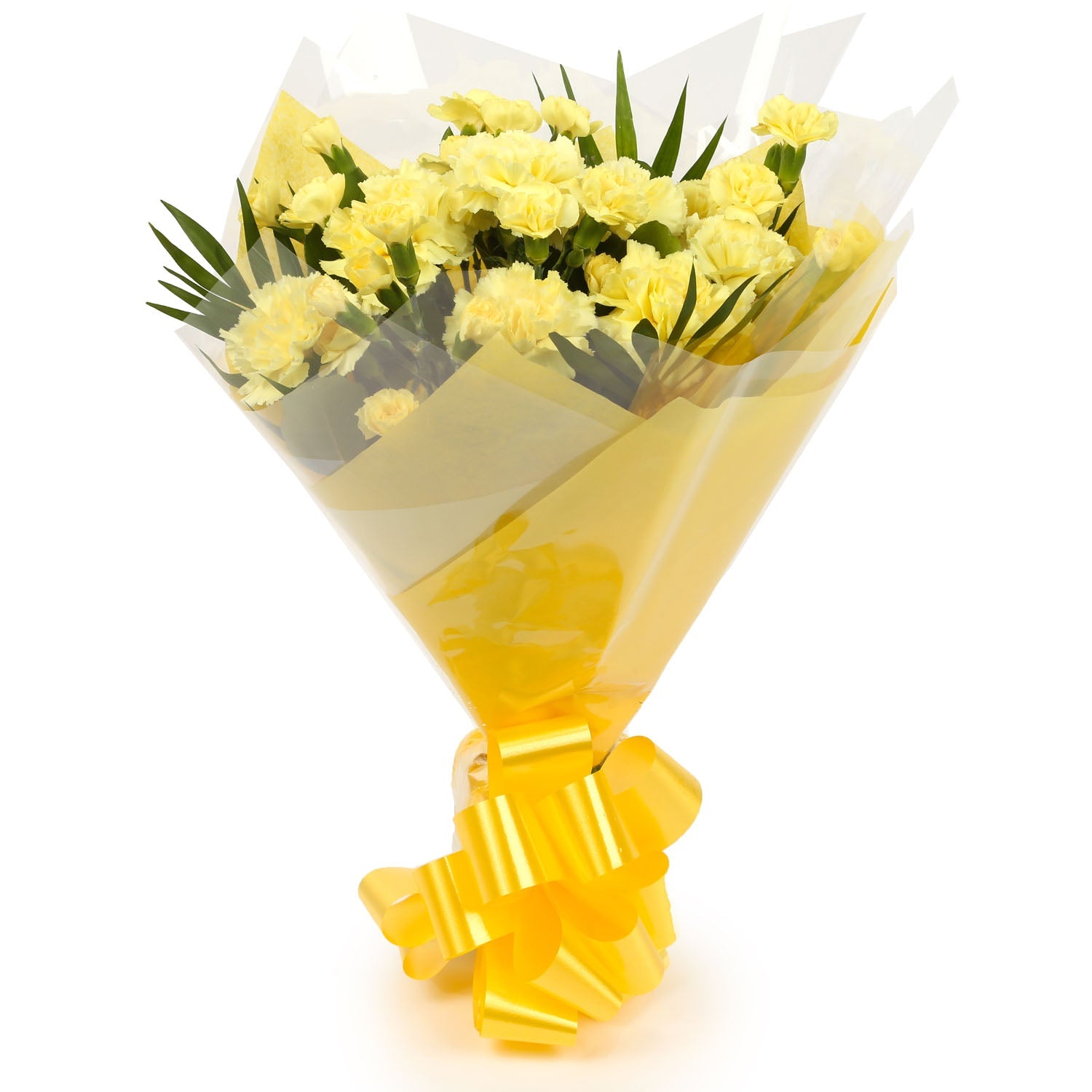 A Beautiful Gold Carnations Melody – Happy Days Factory