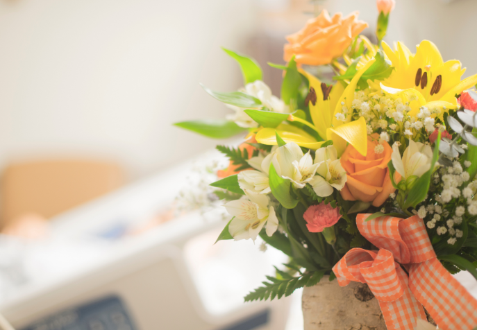 Shop By Occasion – Happy Days Factory