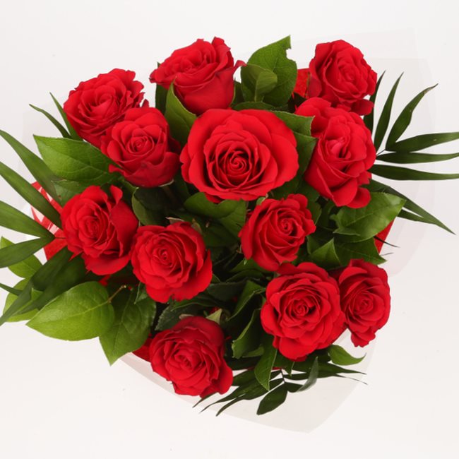 12 Red Roses – Happy Days Factory